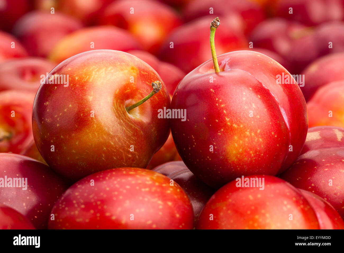Red plum hi-res stock photography and images - Alamy
