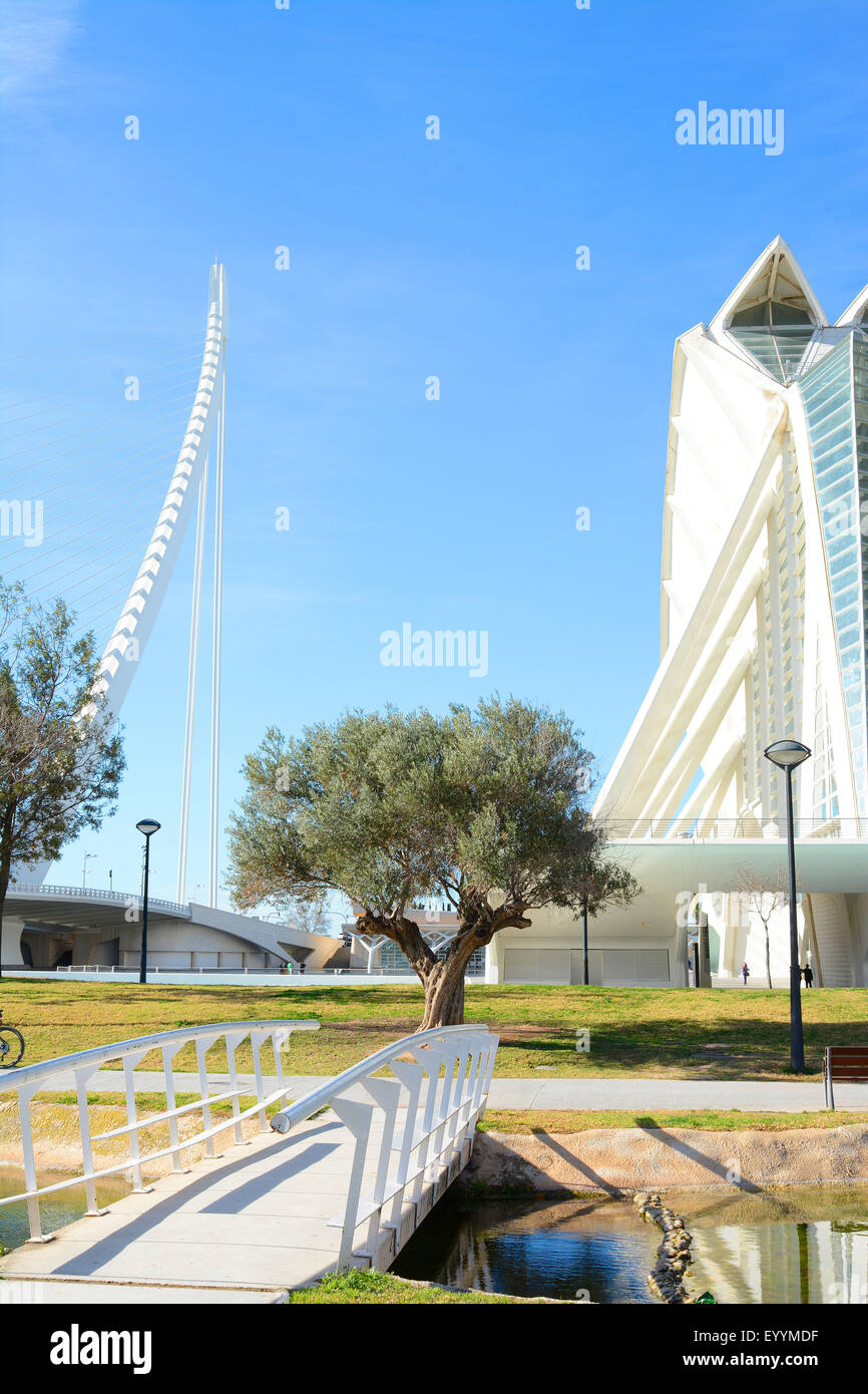 Turia gardens hi-res stock photography and images - Alamy