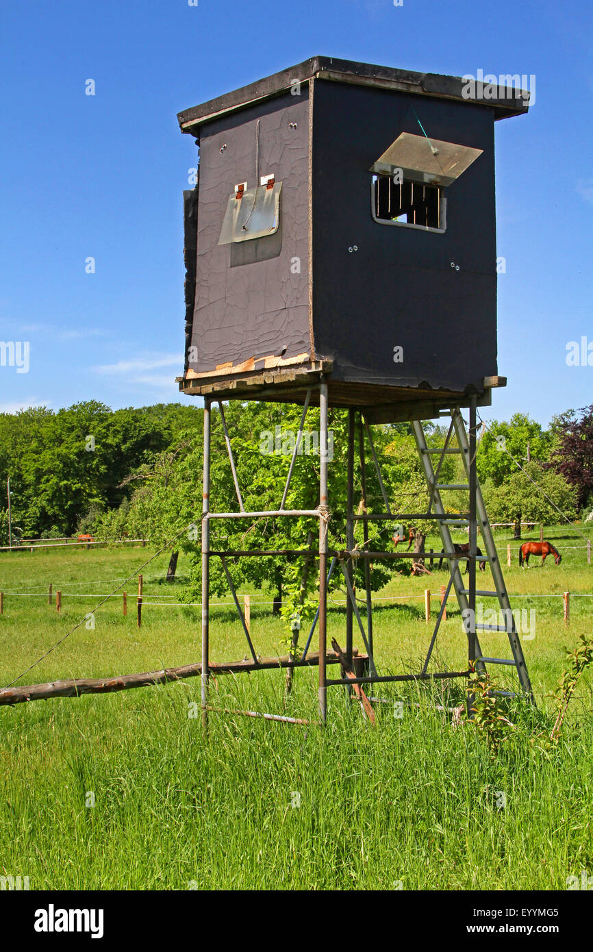 Raised pulpit hi-res stock photography and images - Alamy