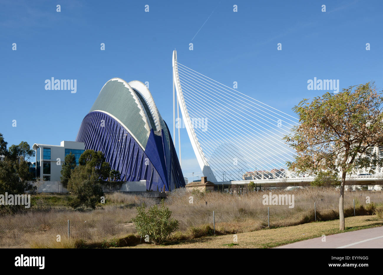 The multi-functional Agora building and the Suspension bridge Puente ...