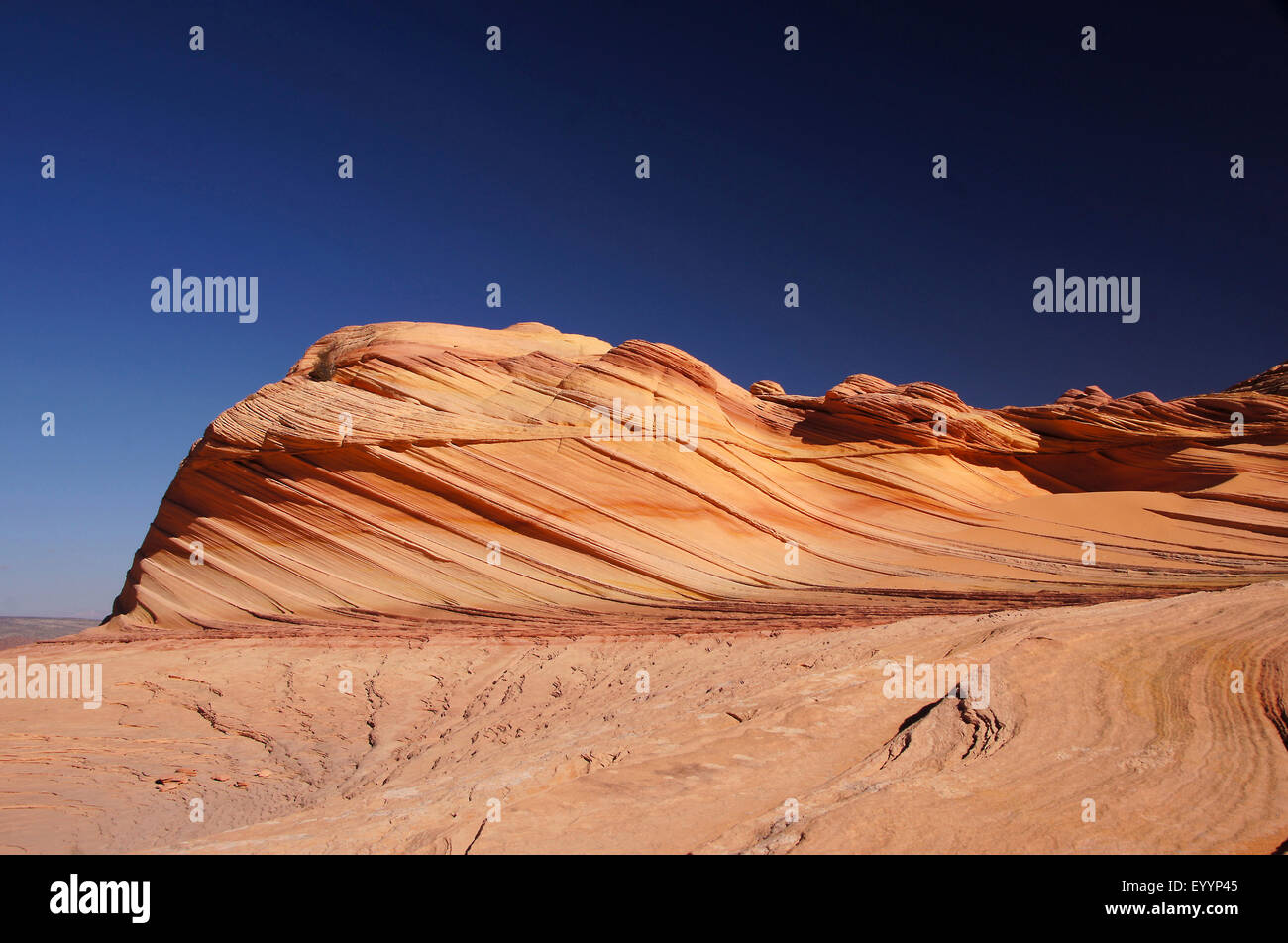 the Wave, sandstone rock formation of Vermilion Cliffs National ...