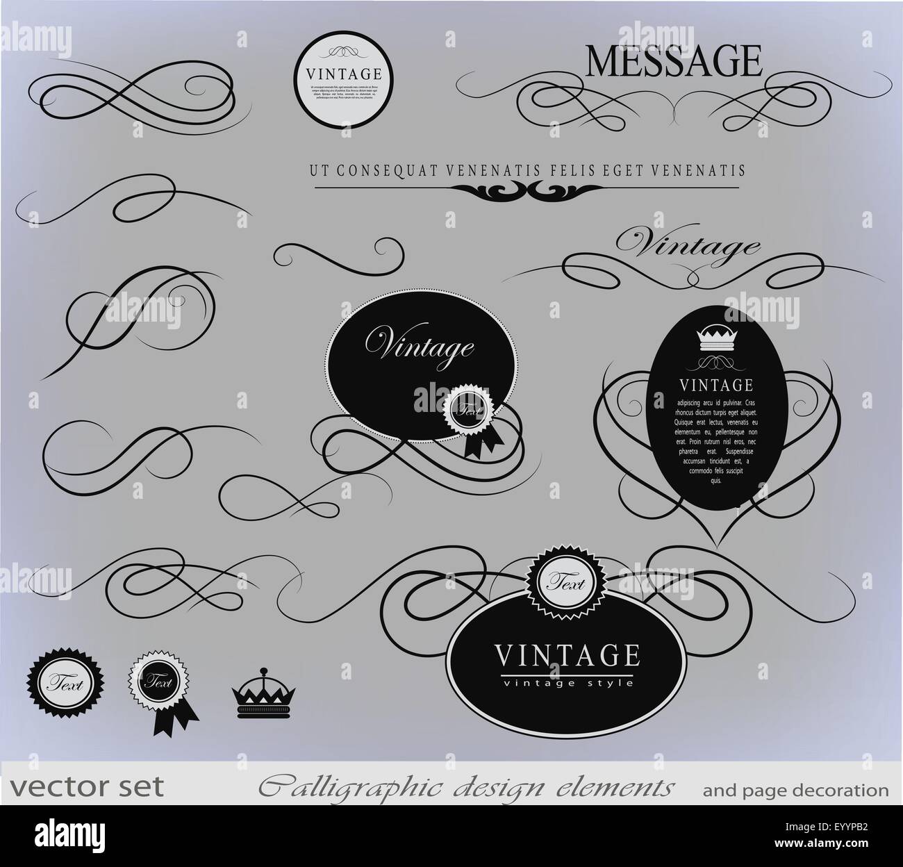 calligraphic design elements Stock Vector Image & Art - Alamy