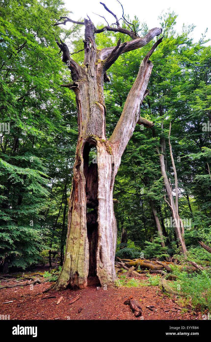 Old ancient landscapes hi-res stock photography and images - Alamy