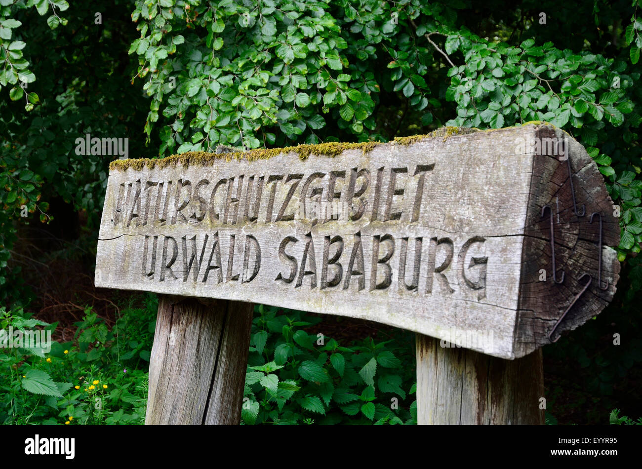 wooden nature reserve sign ancient forest of Sababurg, Germany, Hesse ...