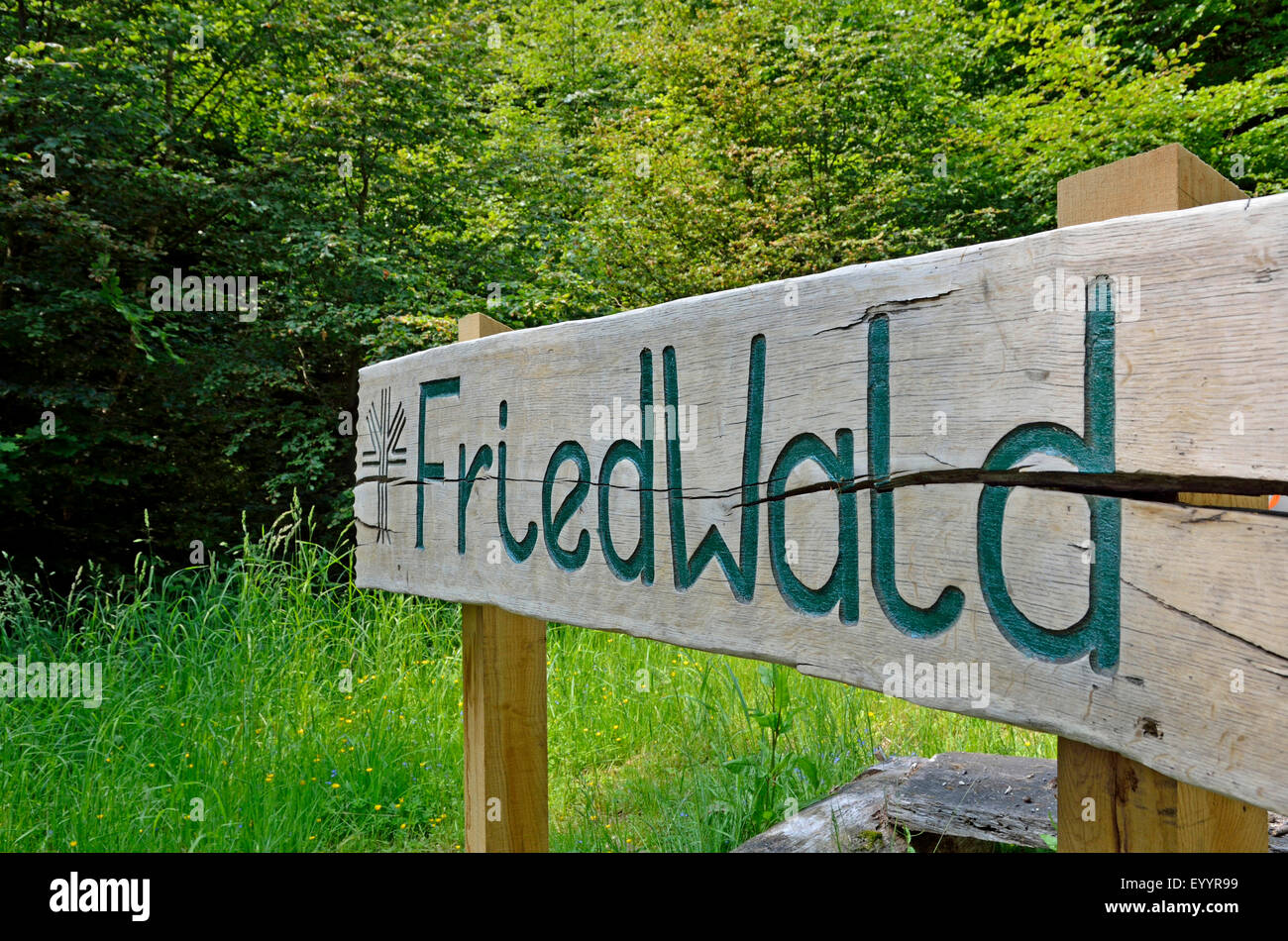 wooden sign 'Friedwald', a forest as natural cemetery, Germany, Hesse ...