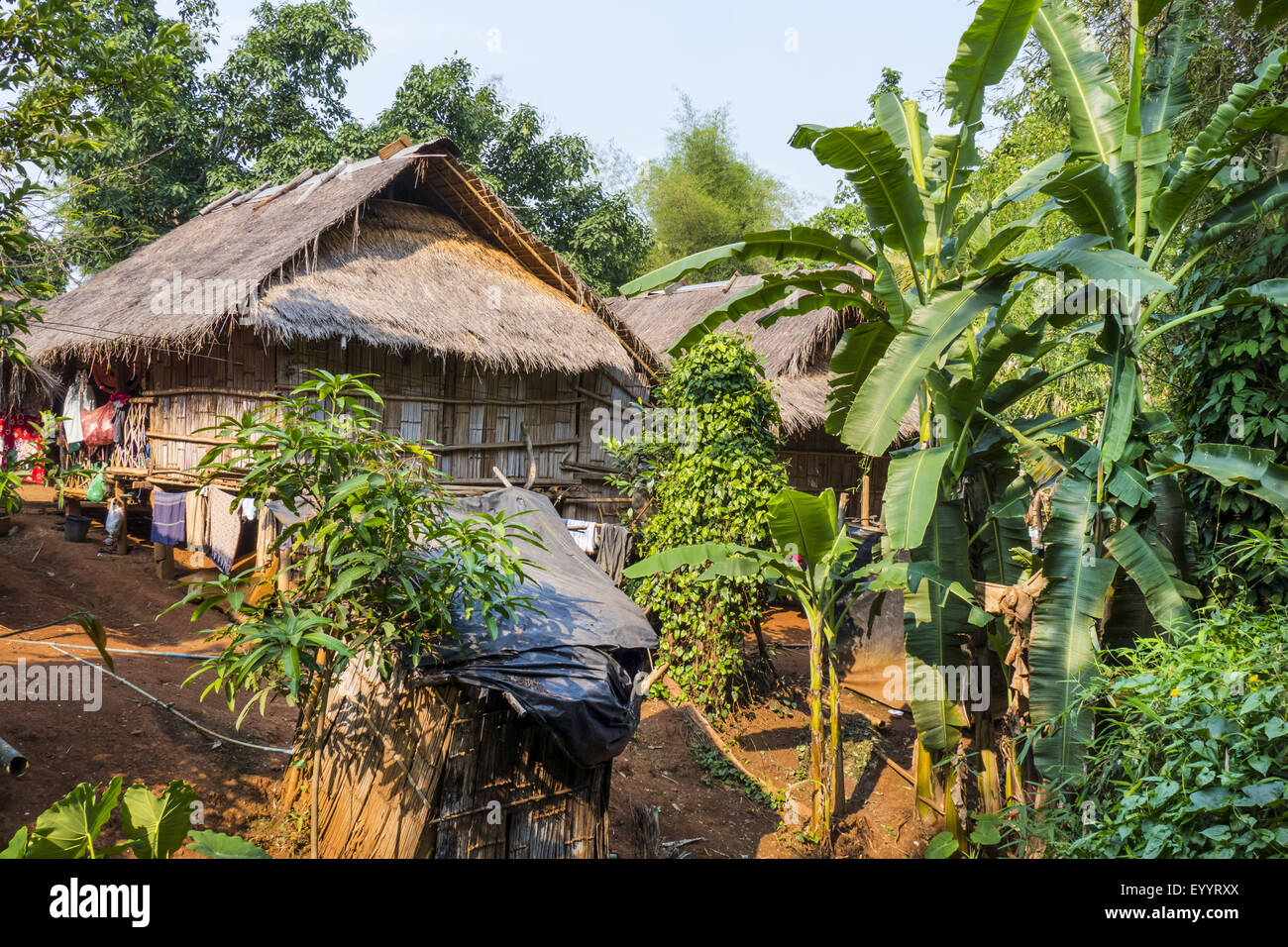Hilltribes Village near Chiang Rai, Thailand Stock Photo - Alamy