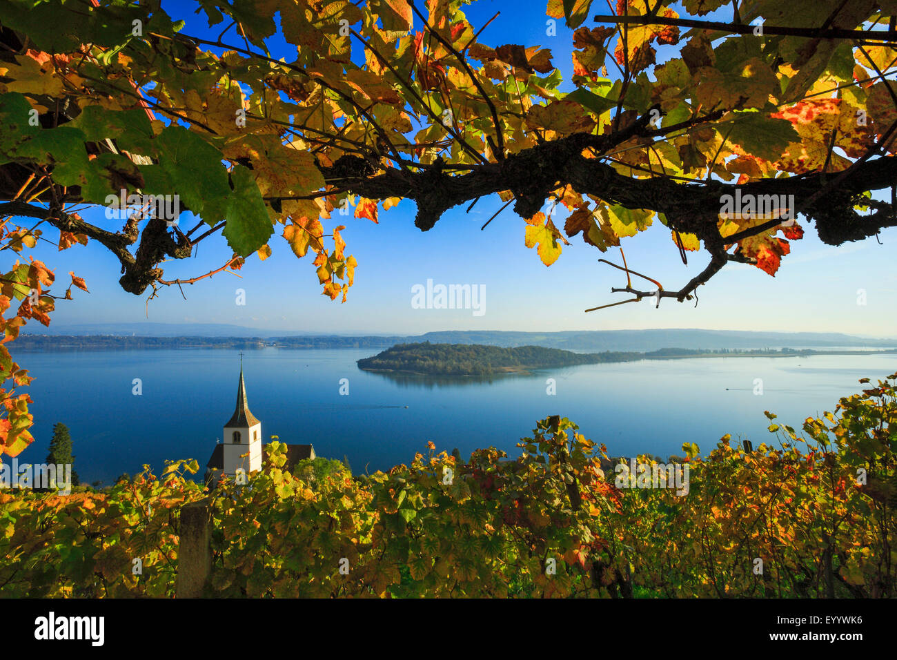 Ligerz at Lake Bieler, Switzerland, Berne Stock Photo - Alamy