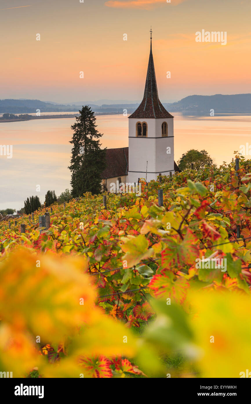 Ligerz at Lake Bieler, Switzerland, Berne Stock Photo - Alamy