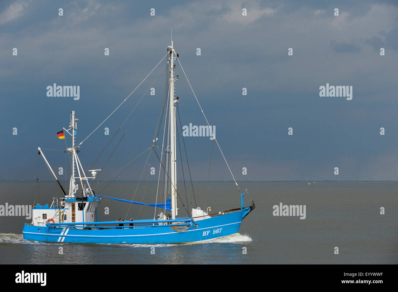 fishing trawler in the Elbe estuary, Germany, Lower Saxony, Cuxhaven ...