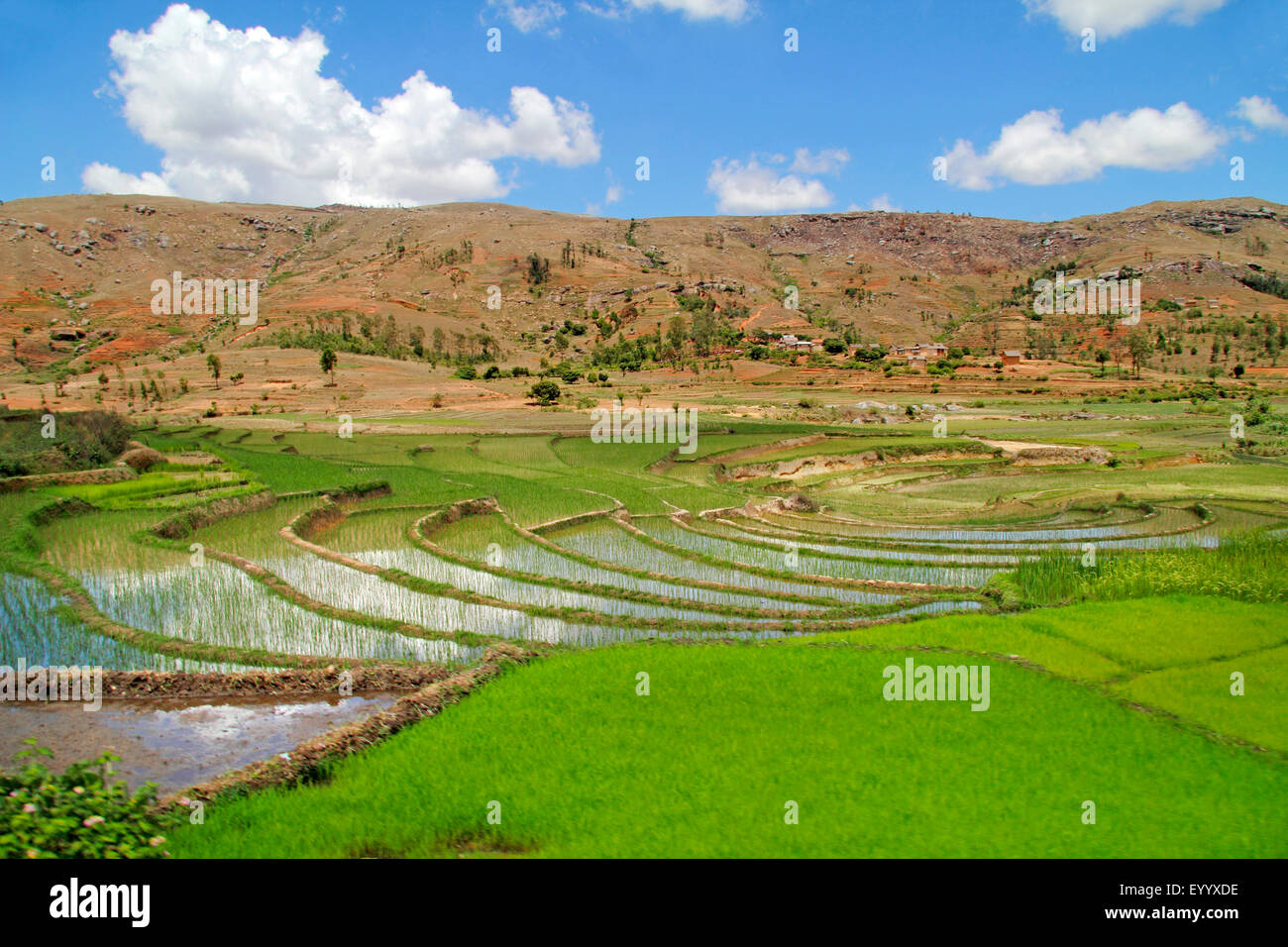 Madagascar Farming Terrace High Resolution Stock Photography and Images ...