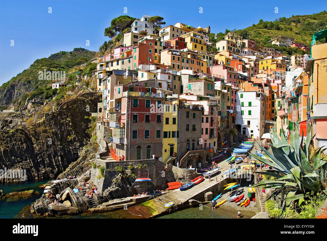 village Riomaggiore at the Ligurian coast, Italy, Liguria, Riomaggiore ...