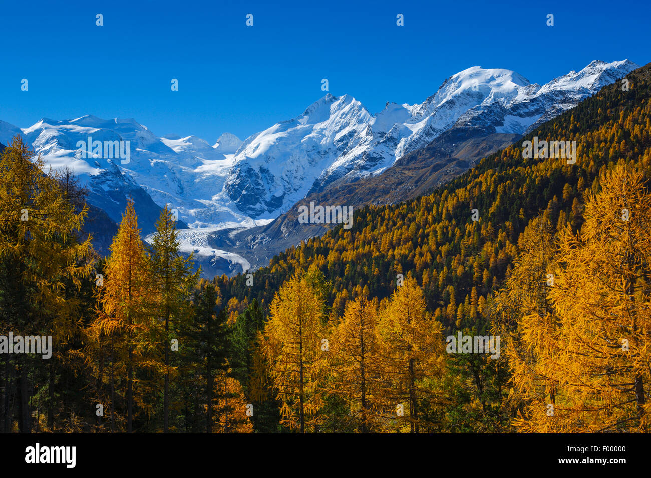 Piz palue hi-res stock photography and images - Alamy