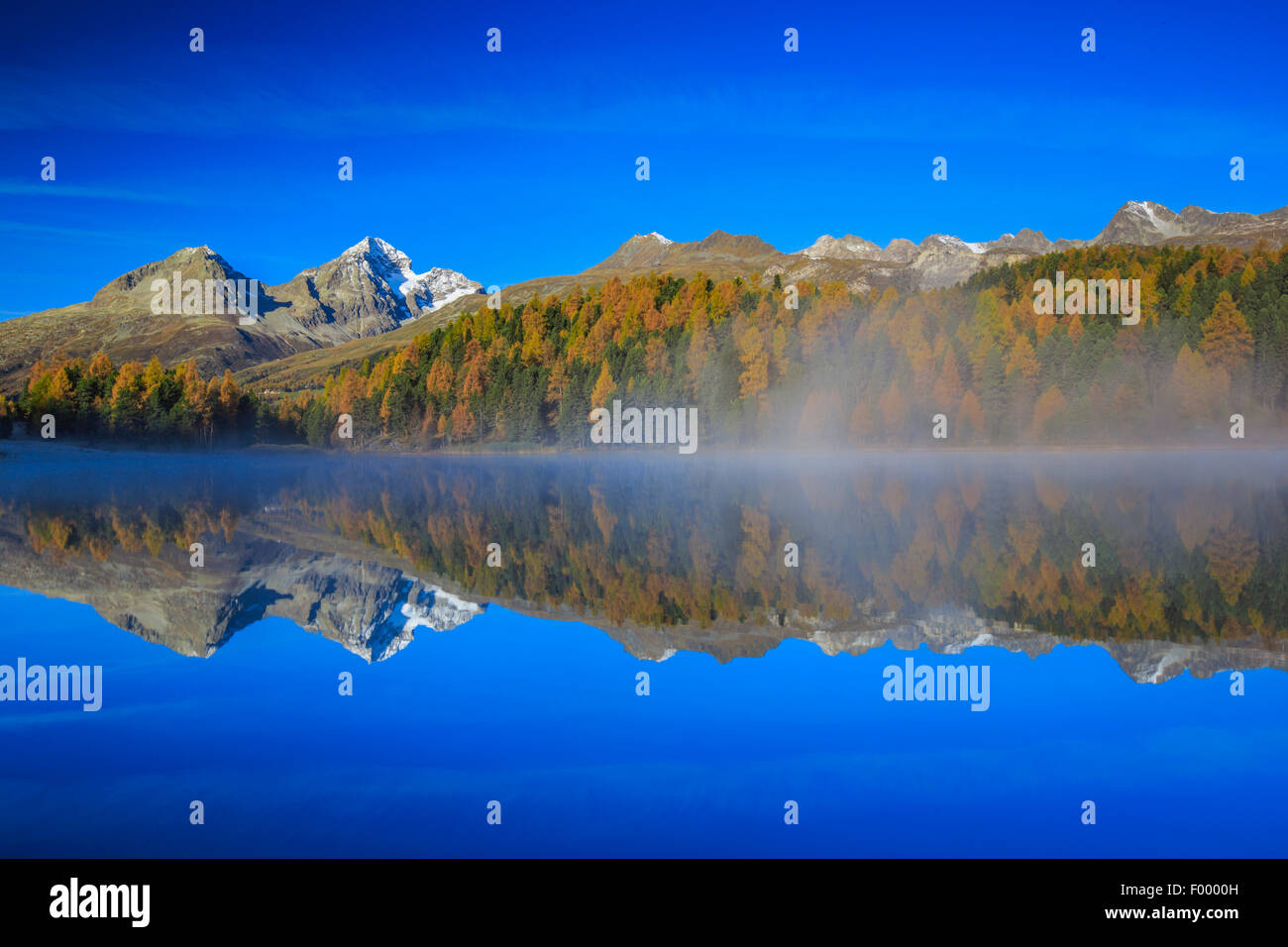 Lej da Staz, Switzerland, Grisons, Oberengadin Stock Photo - Alamy
