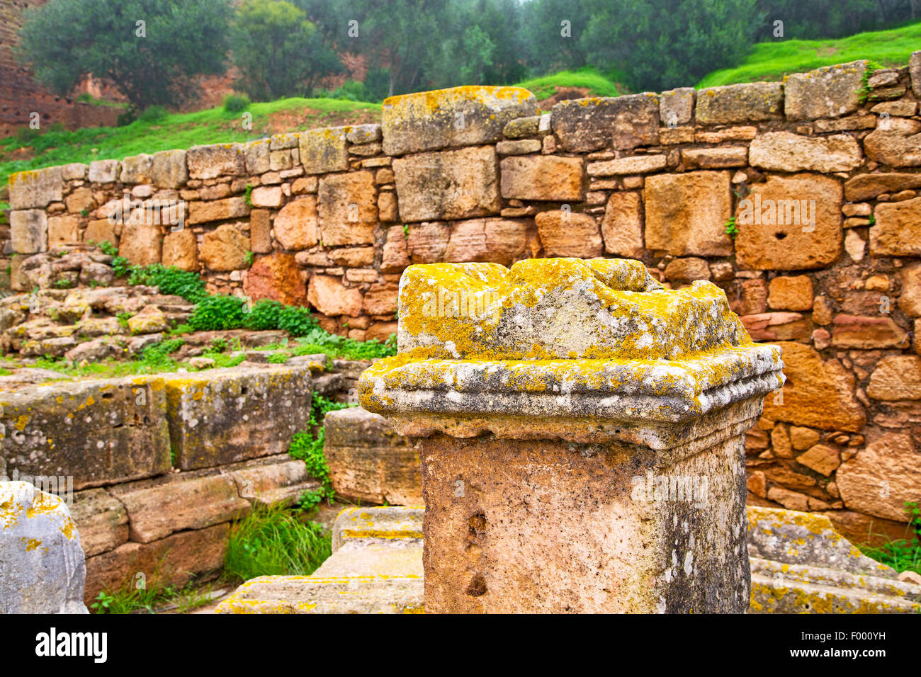 chellah in morocco africa the old roman deteriorated monument and site ...