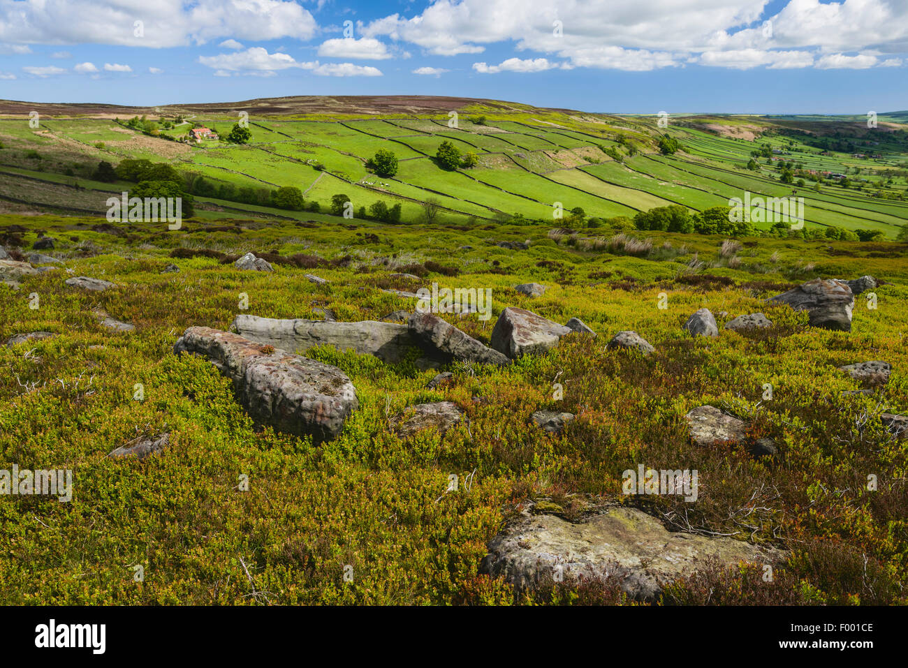 The North York Moors National Park on a bright spring morning showing ...
