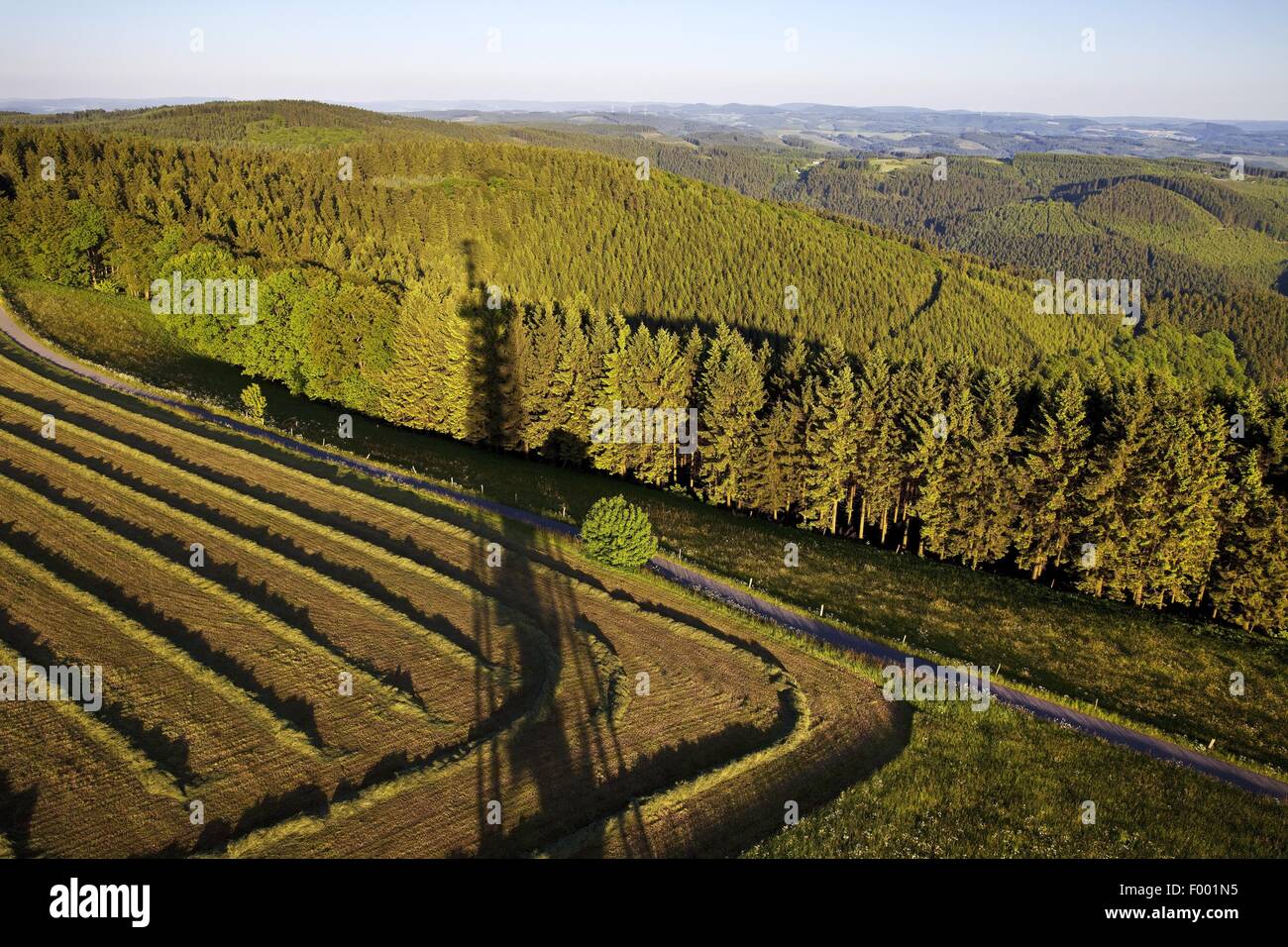lookout over the landscape with the shadow of the Schomberg tower near ...