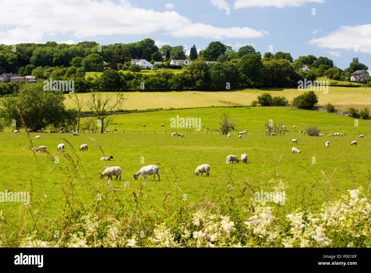Lyth valley cumbria hi-res stock photography and images - Alamy