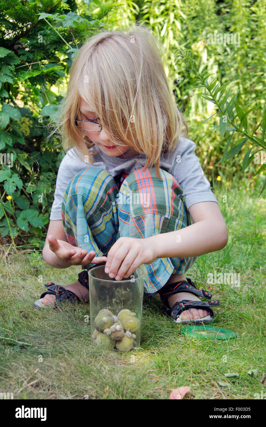 boy collecting snails in a magnifying glass, Germany Stock Photo - Alamy