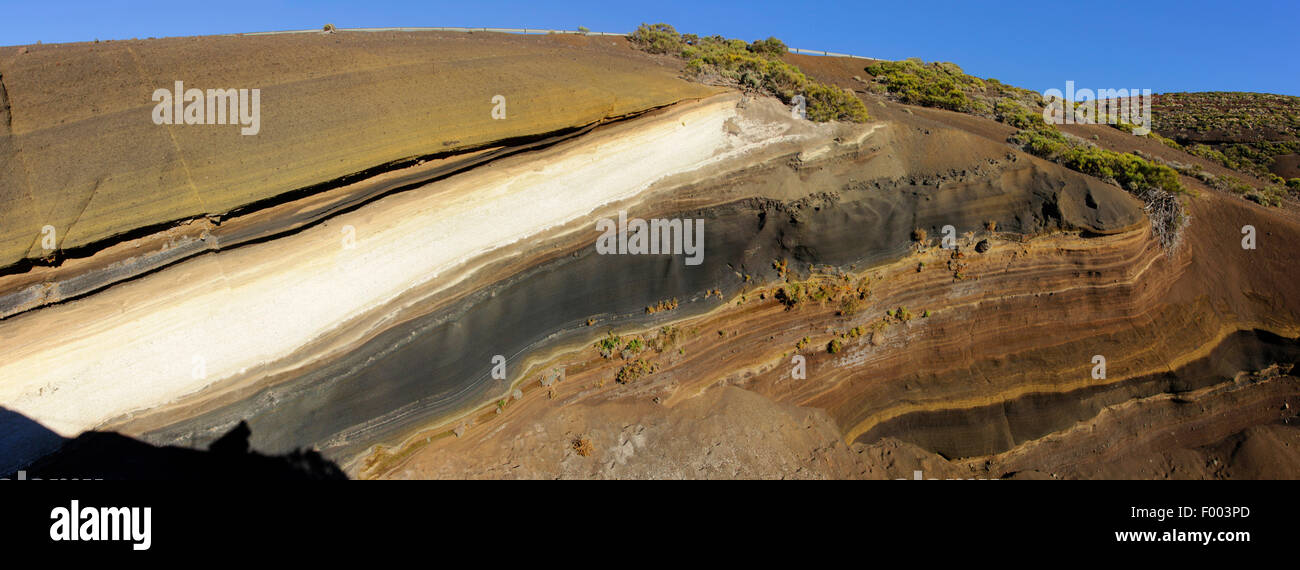 Dorsal ridges hi-res stock photography and images - Alamy