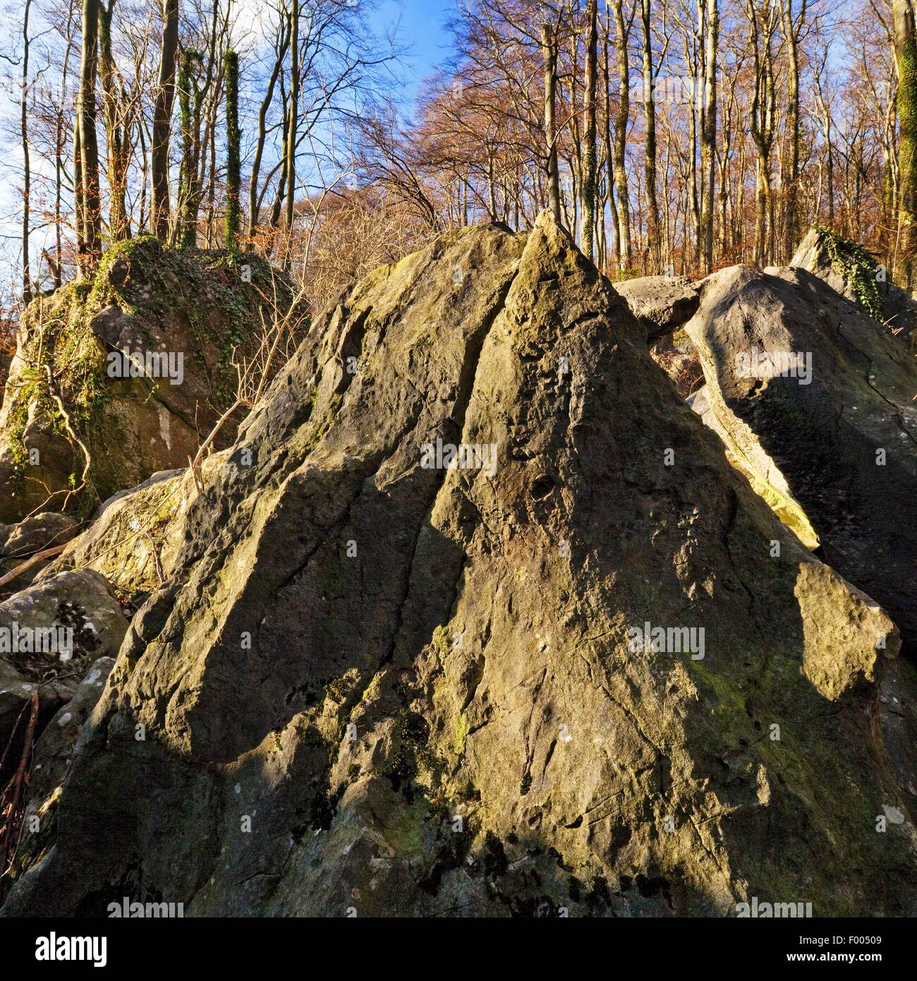 sea of cliffs Felsenmeer Hemer, Germany, North Rhine-Westphalia ...