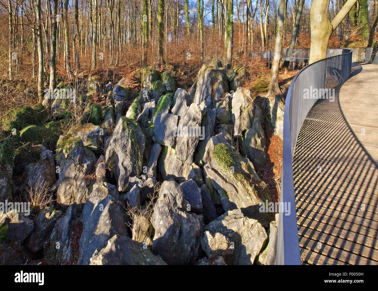 sea of cliffs Felsenmeer Hemer, Germany, North Rhine-Westphalia ...