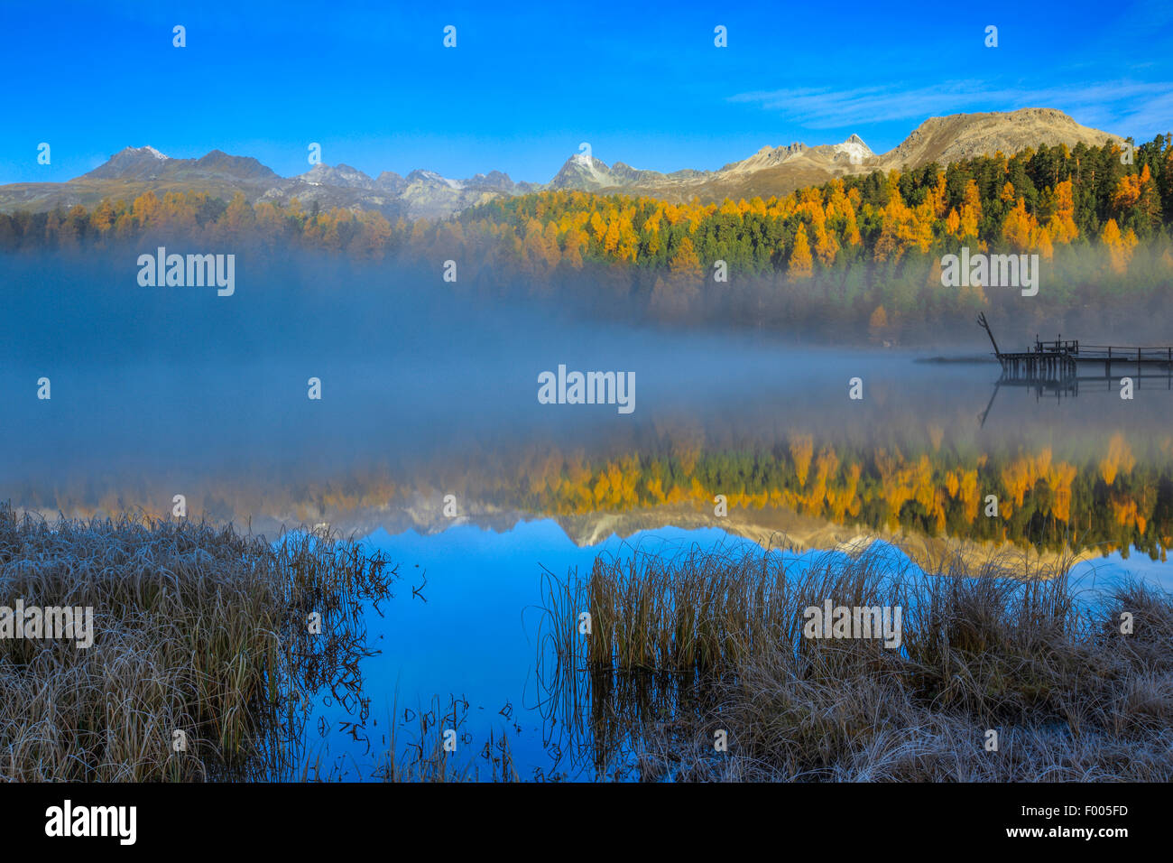 Lej da Staz, Switzerland, Grisons, Oberengadin Stock Photo - Alamy