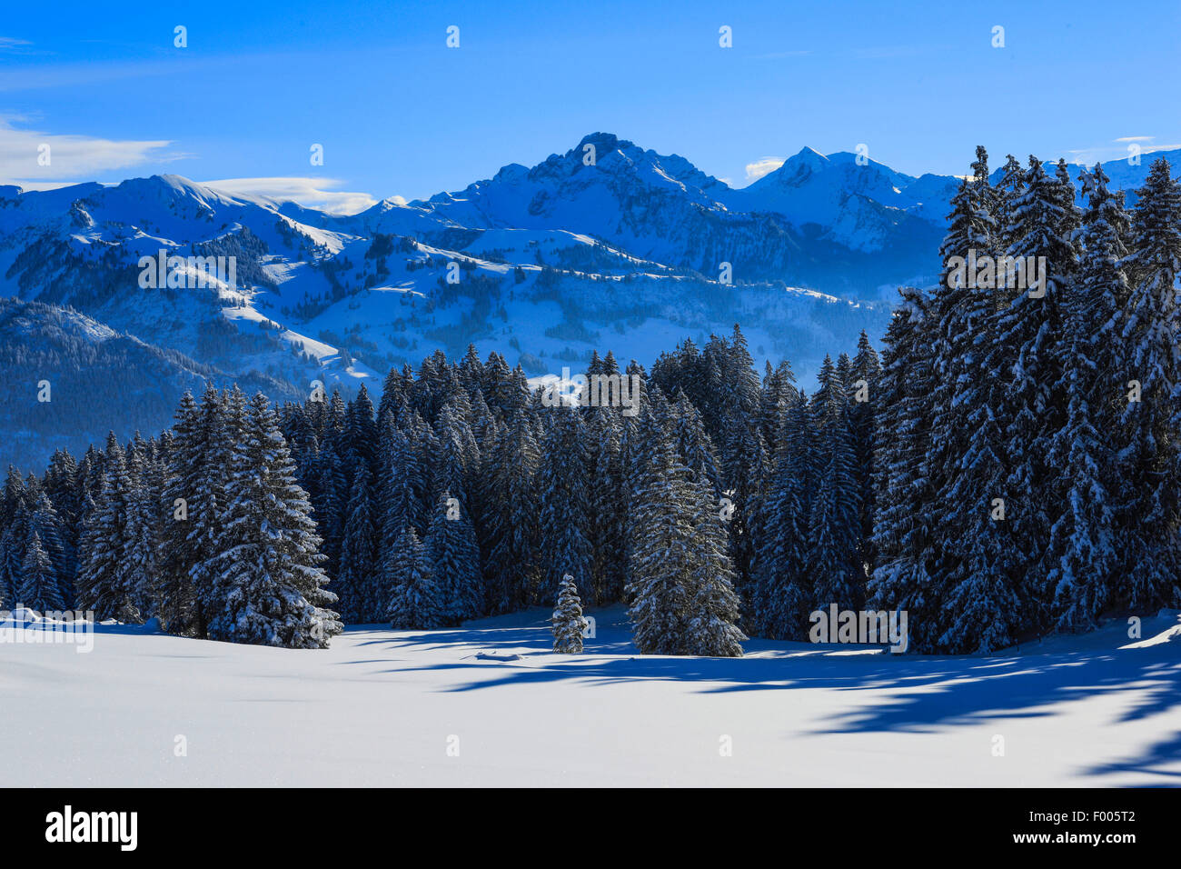 Jaun pass hi-res stock photography and images - Alamy