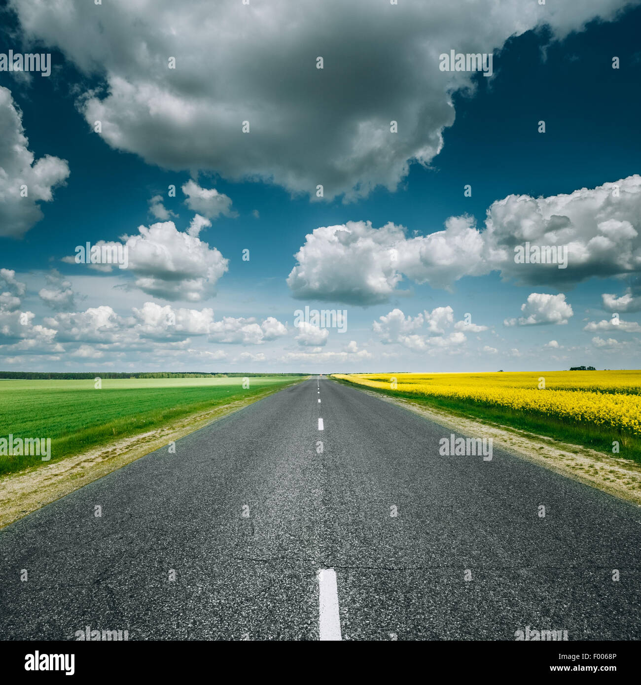 Empty Asphalt Countryside Road Through Fields With Yellow Flowering ...
