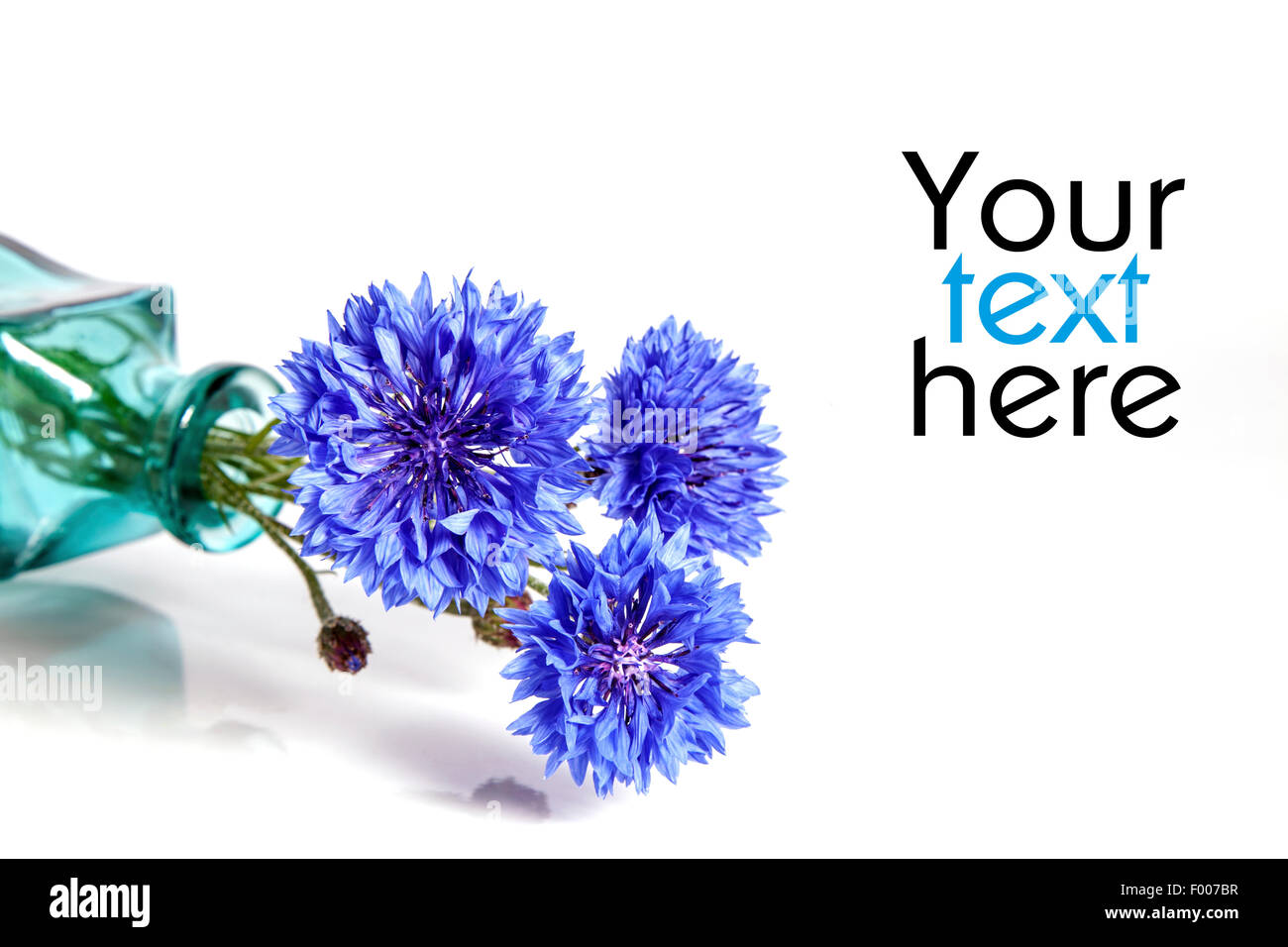 Cornflowers bottle hi-res stock photography and images - Alamy