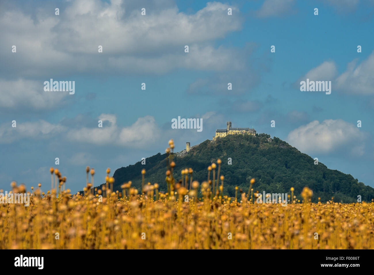 Bezdez Castle (Czech: Hrad Bezdez), a Gothic castle located some 20 km ...