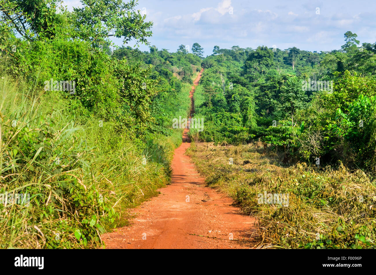 Dirt road into the Ghanaian countryside Stock Photo, Royalty Free Image ...