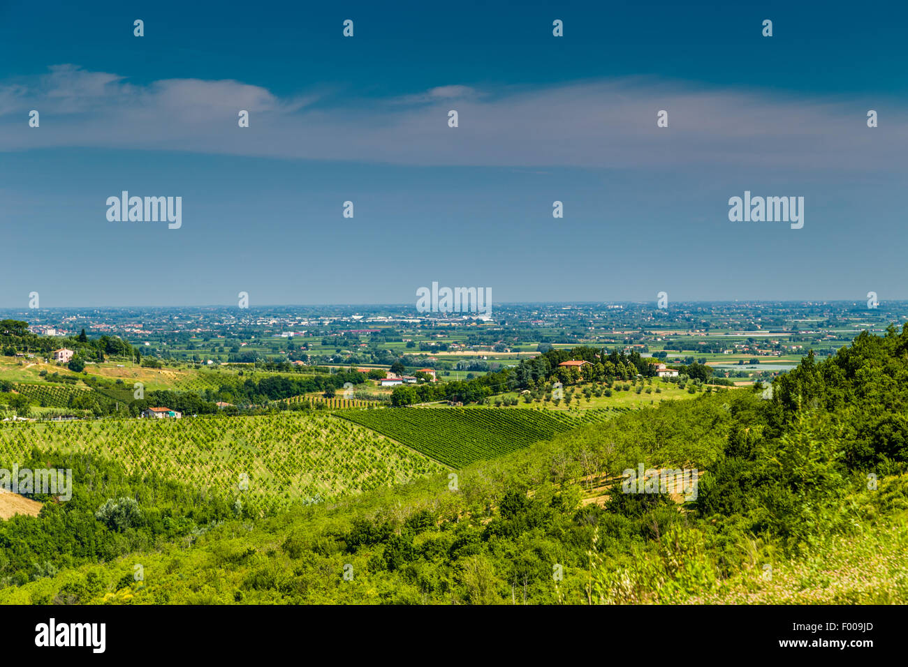 The vibrant colors of Agricultural cultivated fields in Italy during ...