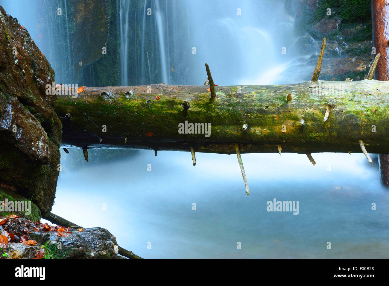 Log in front waterfall hi-res stock photography and images - Alamy
