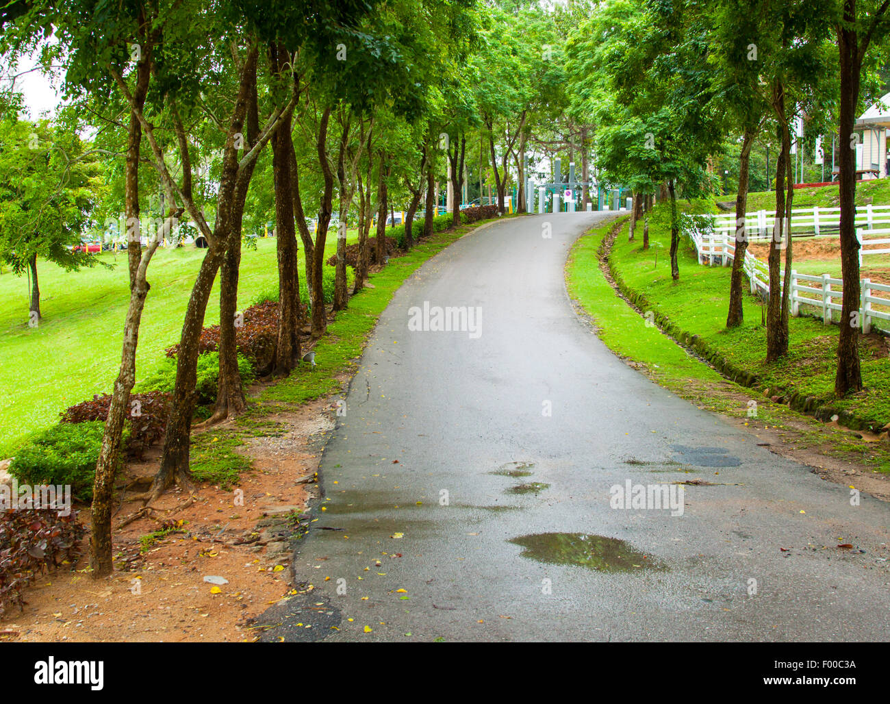 road in the nature Stock Photo - Alamy