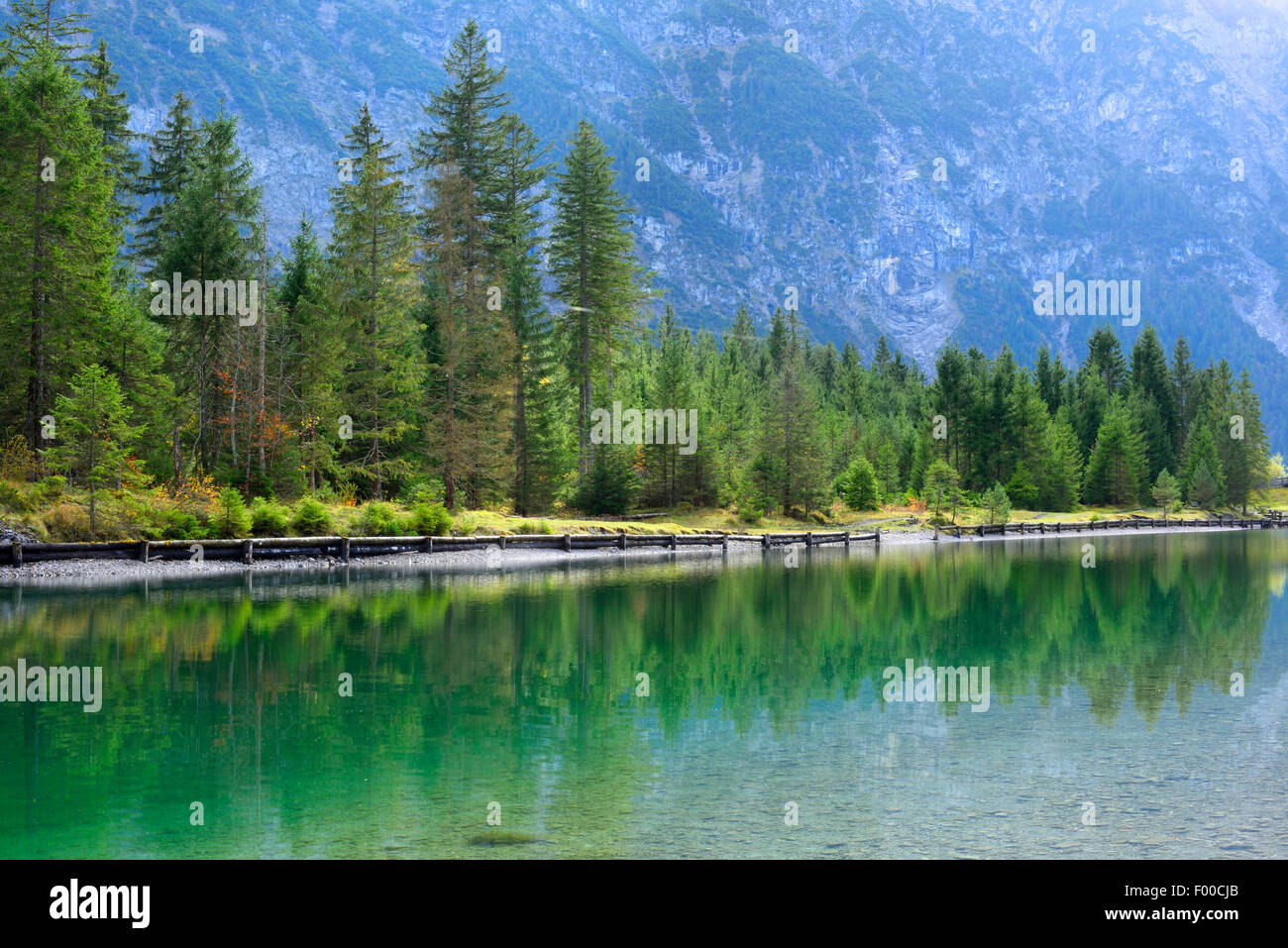 autumnal mountain scenery mirroring in lake Plansee, Austria, Tyrol ...