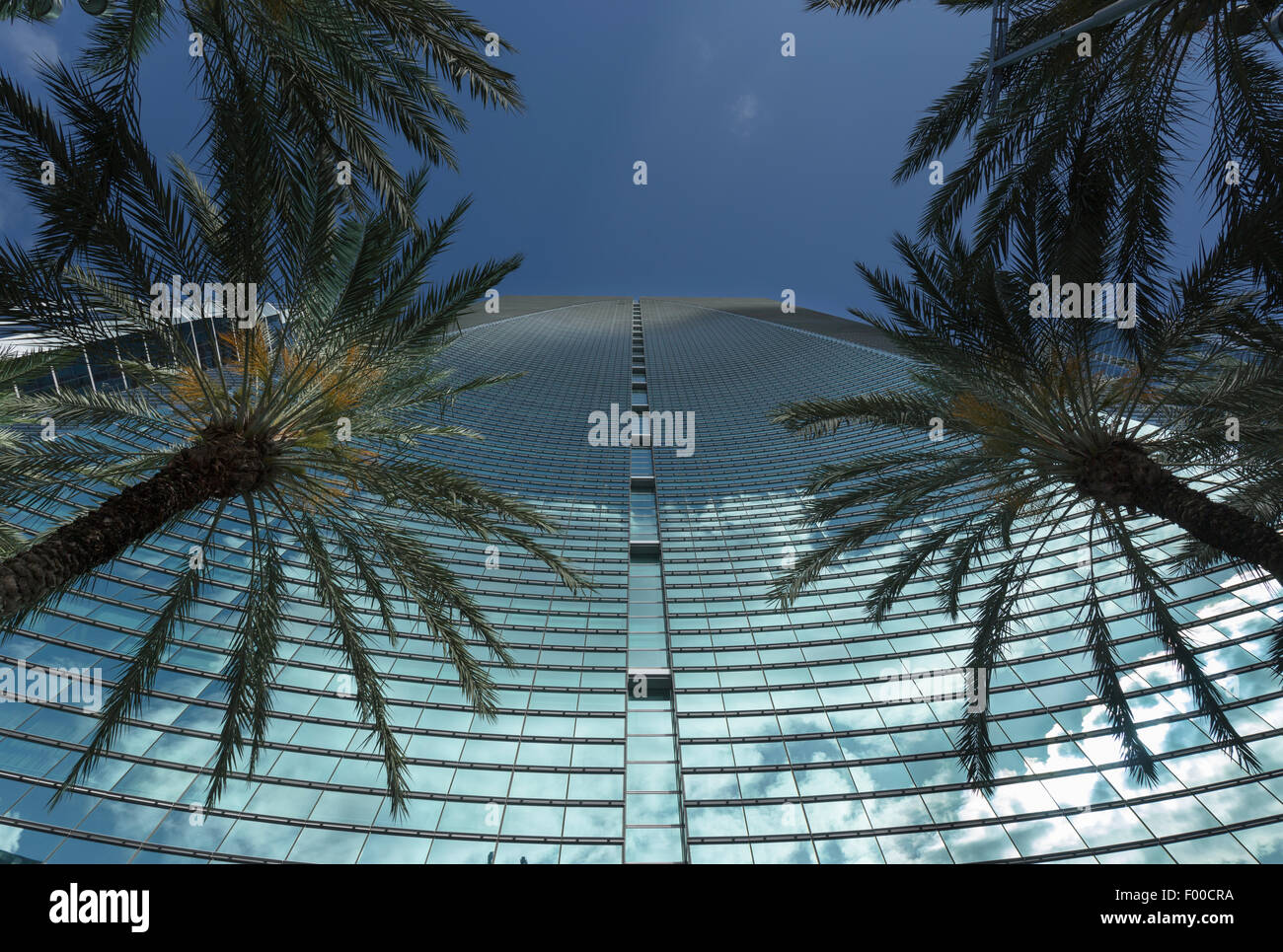 BRICKELL ARCH (©KOHN PEDERSEN FOX 2004) ESPIRITO SANTO PLAZA BRICKELL ...