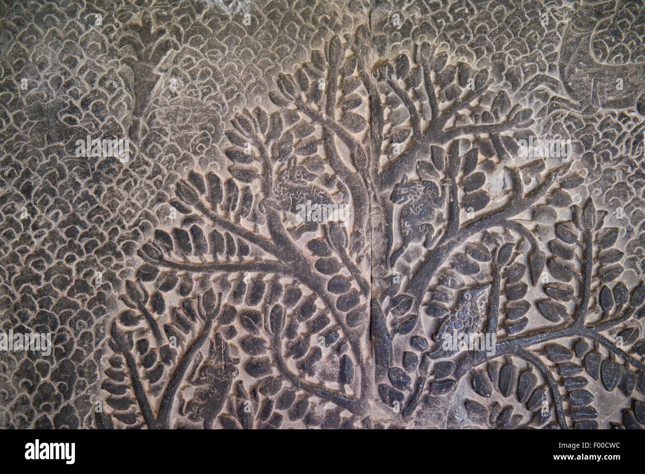 Angkor Wat sculptural stone background of ancient stylized bodhi tree ...