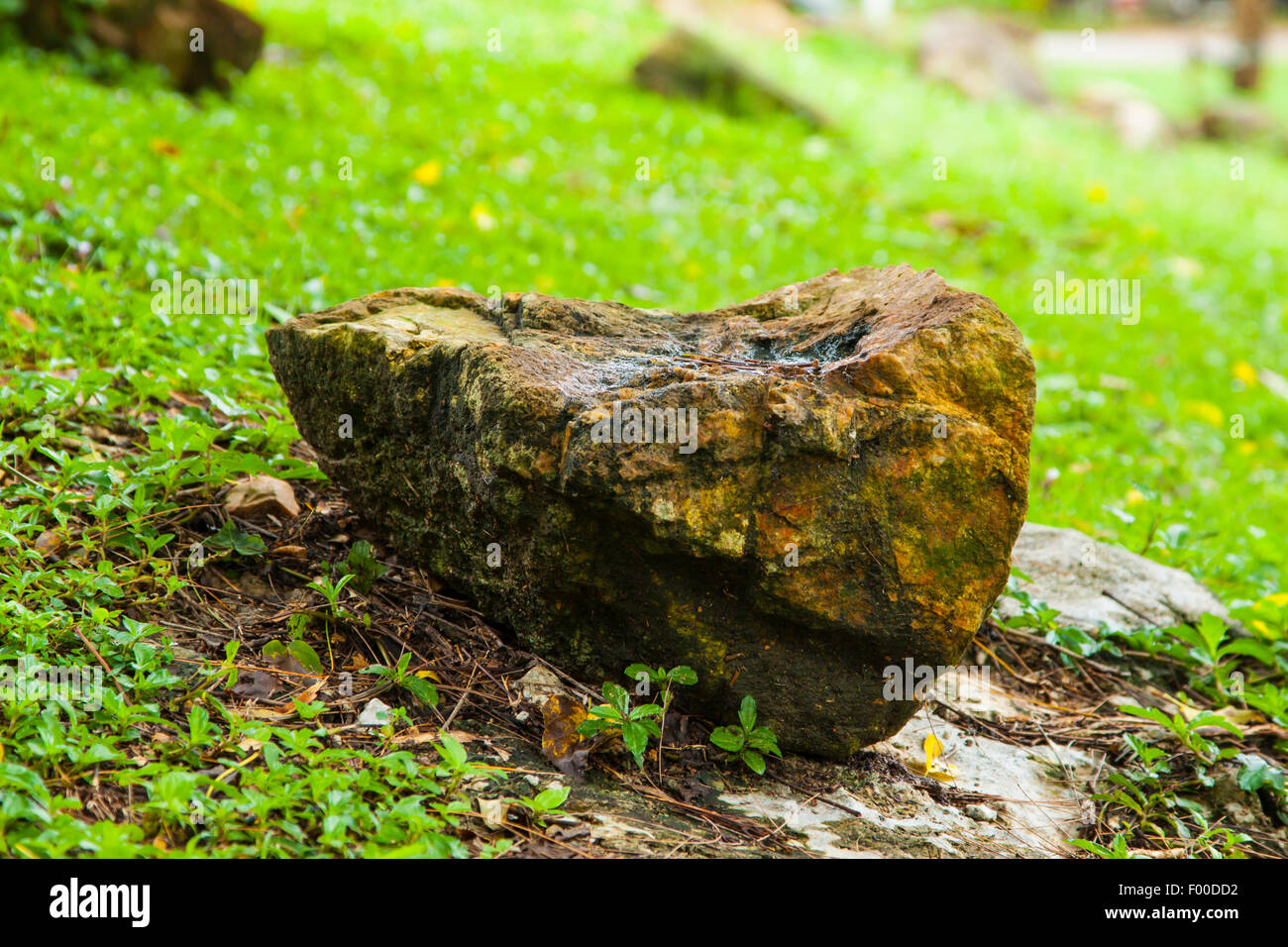 rock in the nature Stock Photo - Alamy