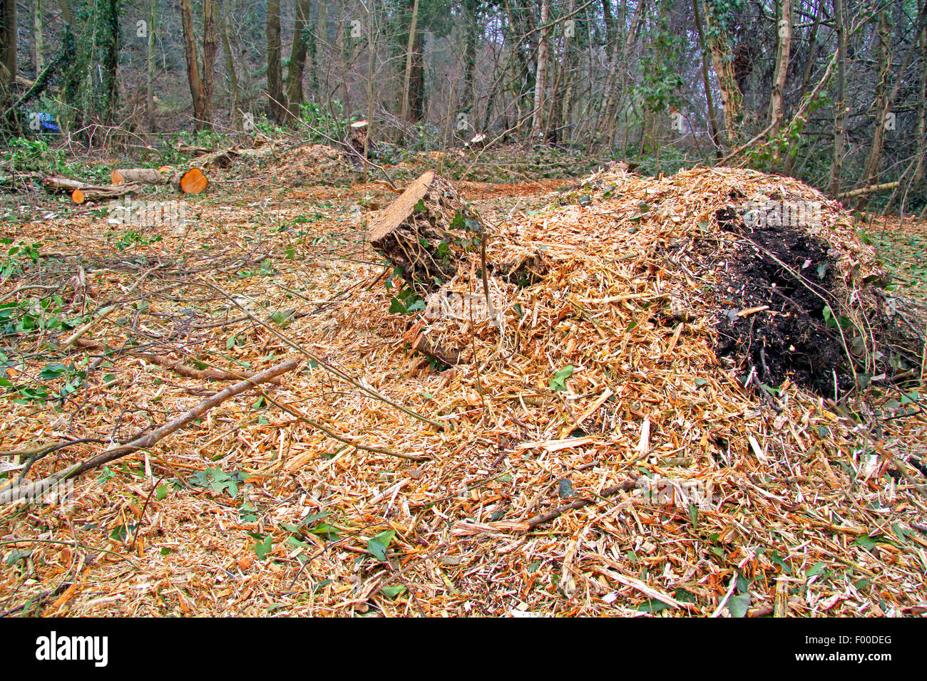 Chaff cutting plant hi-res stock photography and images - Alamy