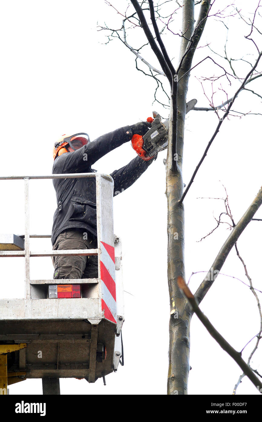 Lumberman service hi-res stock photography and images - Alamy