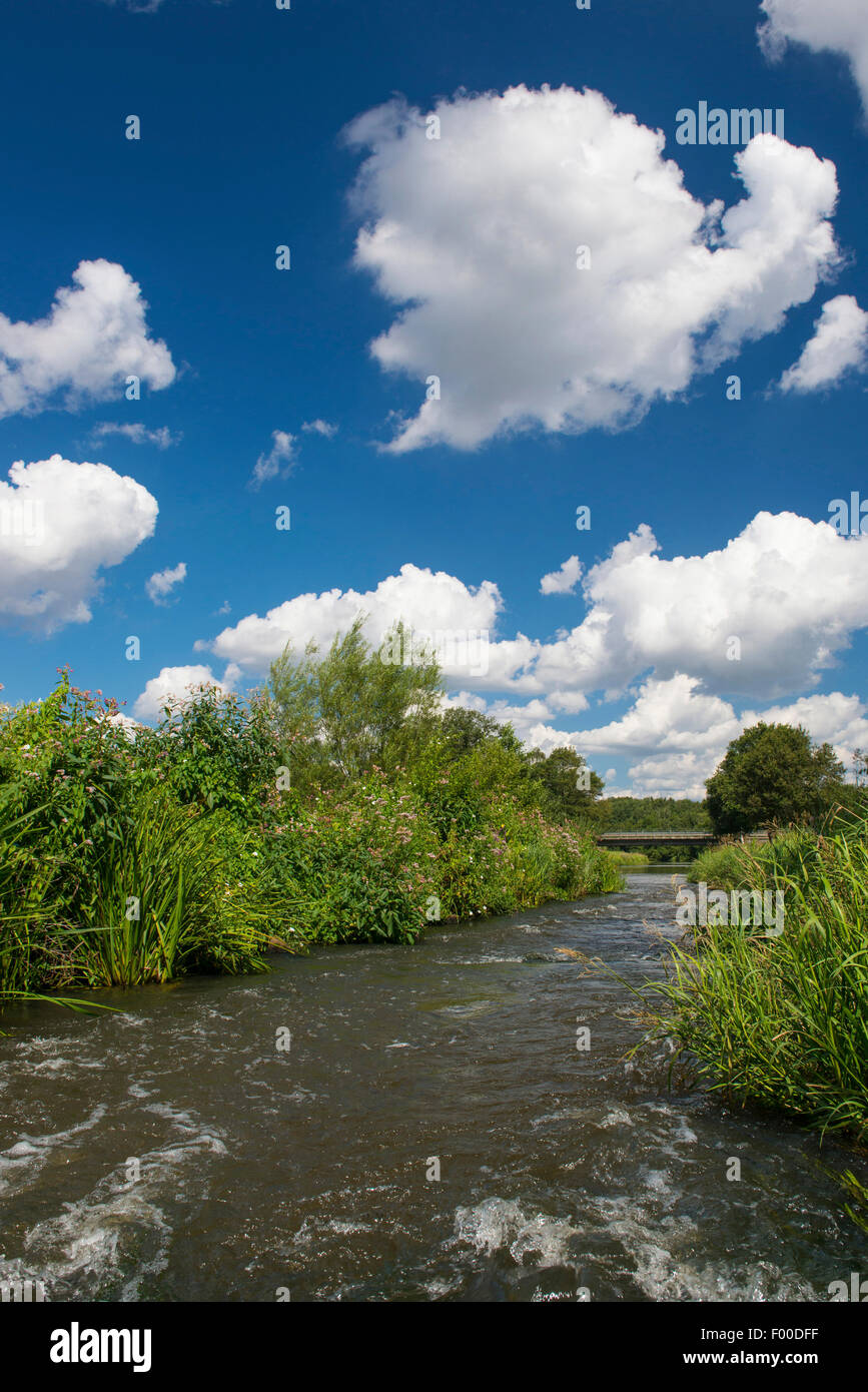 fish ladder at the Hunte, Germany, Lower Saxony, Oldenburger ...