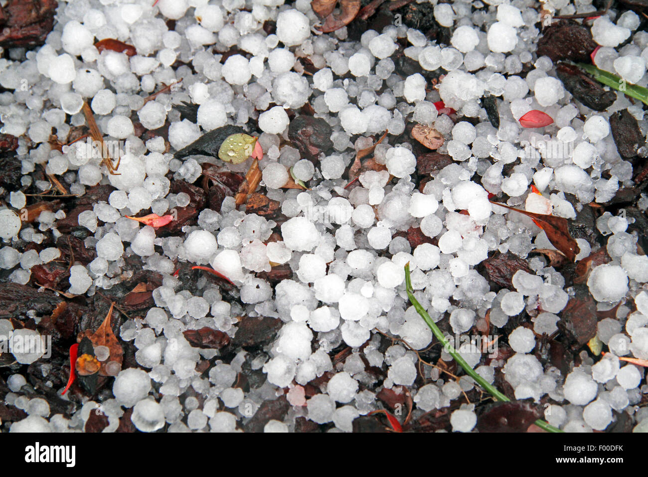 sleets on the ground, Germany Stock Photo - Alamy