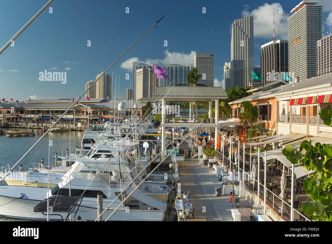 FISHING TOUR BOAT QUAY BAYSIDE MARKETPLACE MARINA DOWNTOWN SKYLINE ...