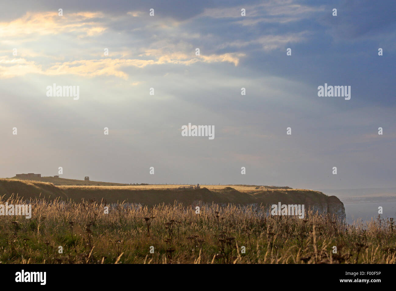 View of the cliff tops at Bempton RSPB Reserve at sunset Stock Photo ...