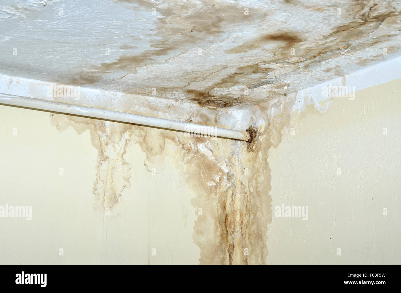 Mold in the corner of the white ceiling and yellow wall, with white ...