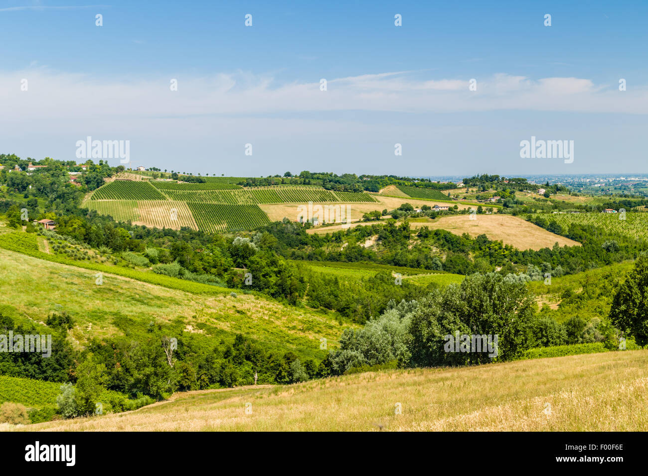 The vibrant colors of Agricultural cultivated fields in Italy during ...