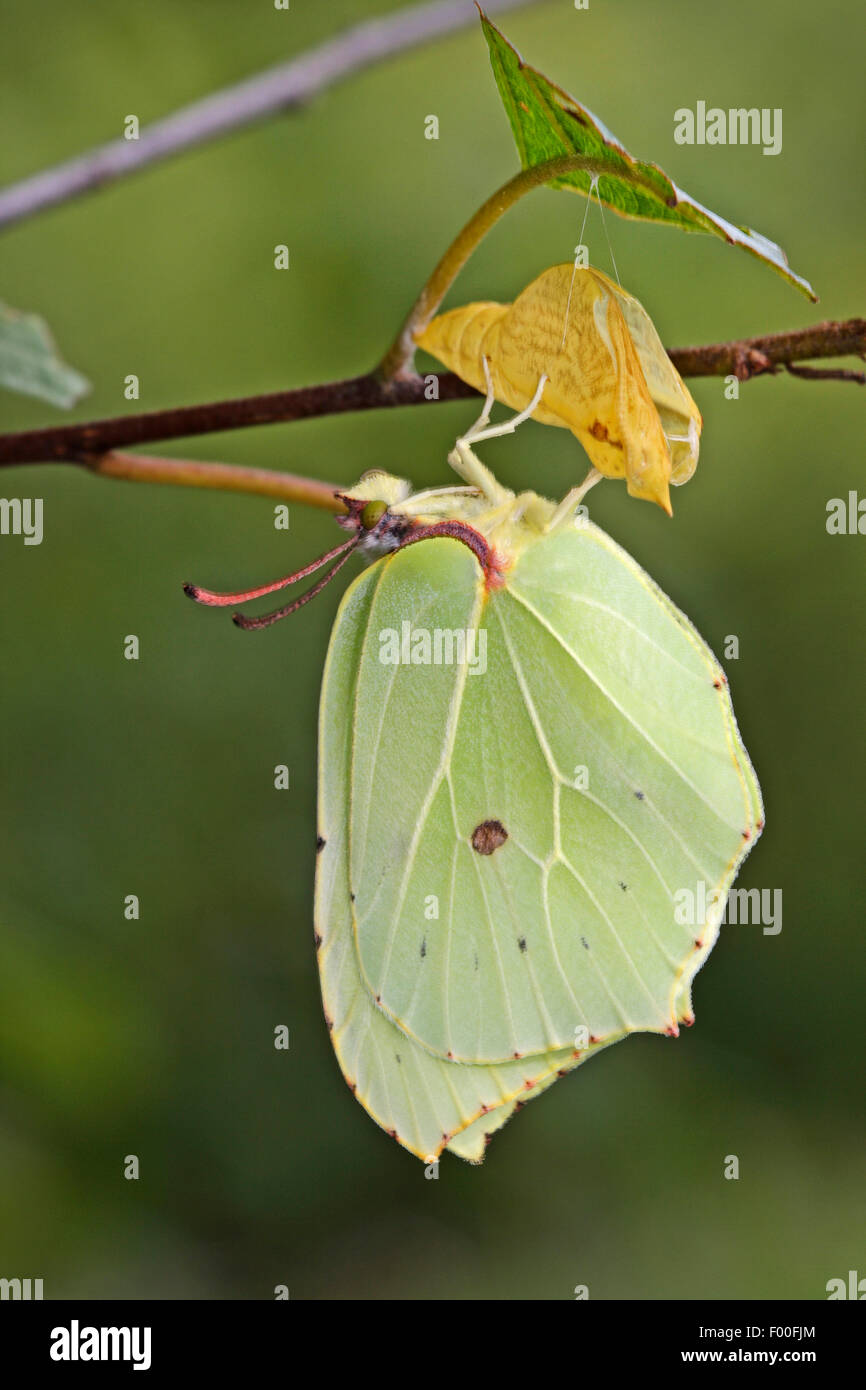 Hatches hi-res stock photography and images - Alamy