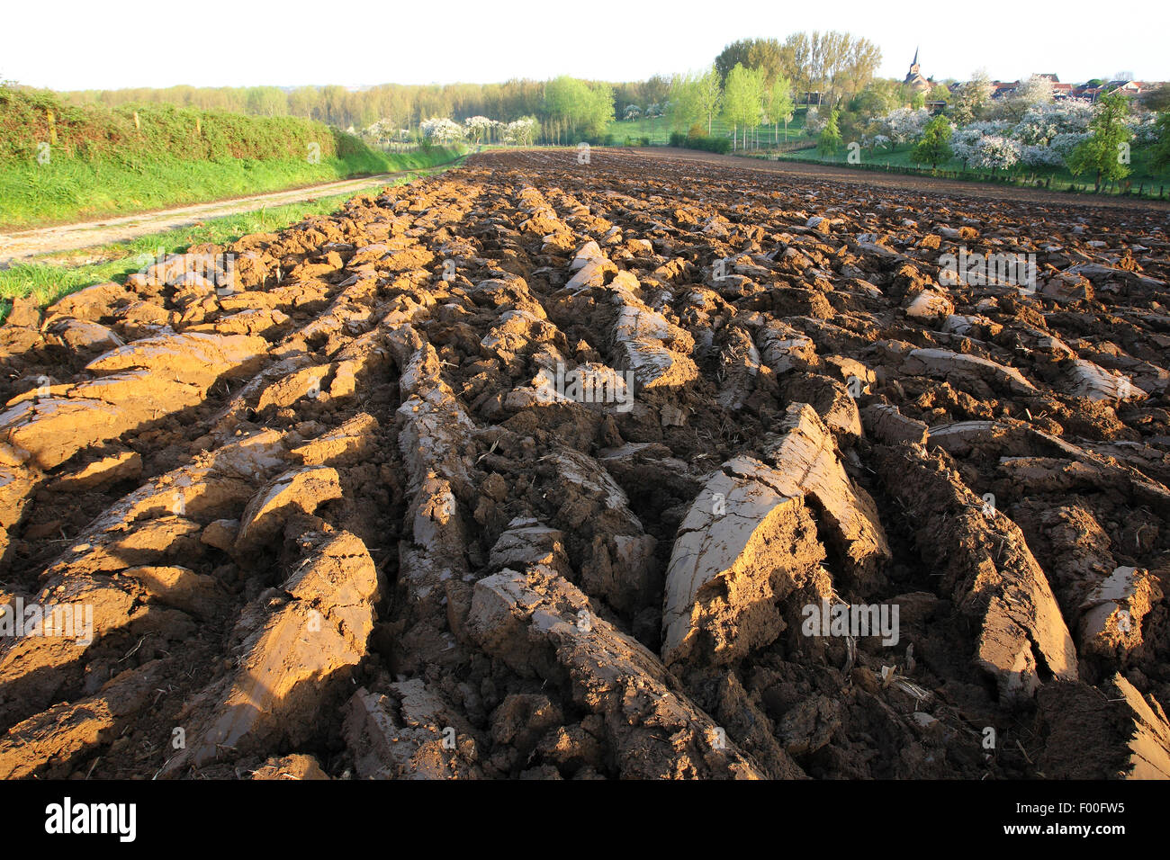 Broken soil of ploughed field, Belgium, Haspengouw Stock Photo - Alamy