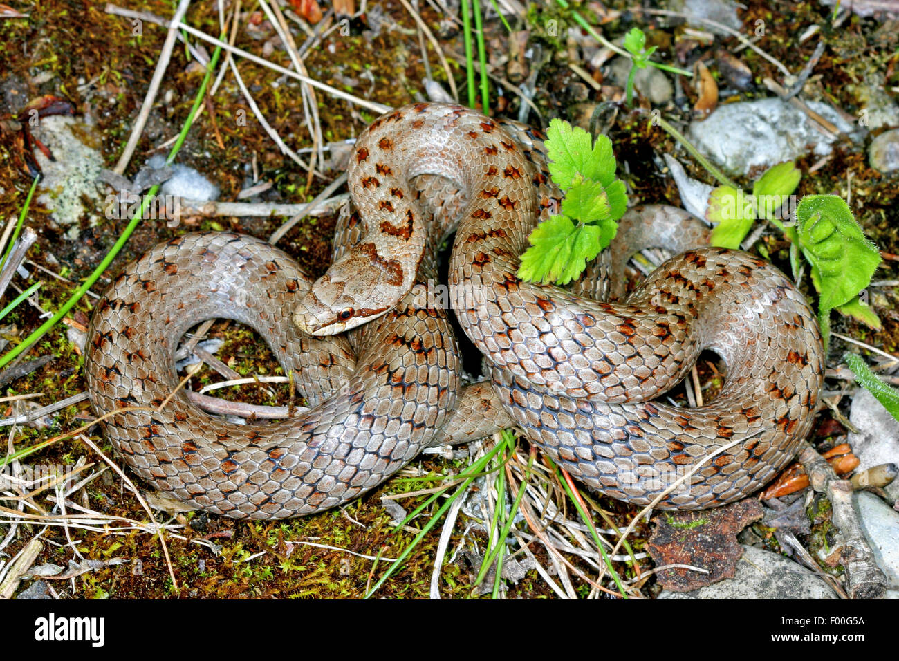 Winding Stock Photos & Winding Stock Images - Alamy