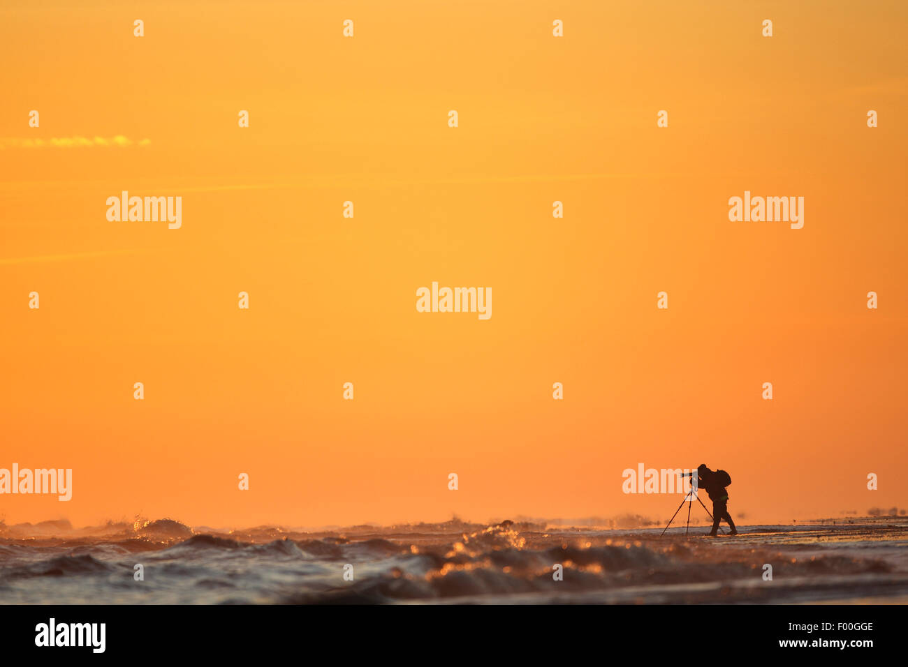 nature photographer in action on beach at sunrise, Belgium Stock Photo ...
